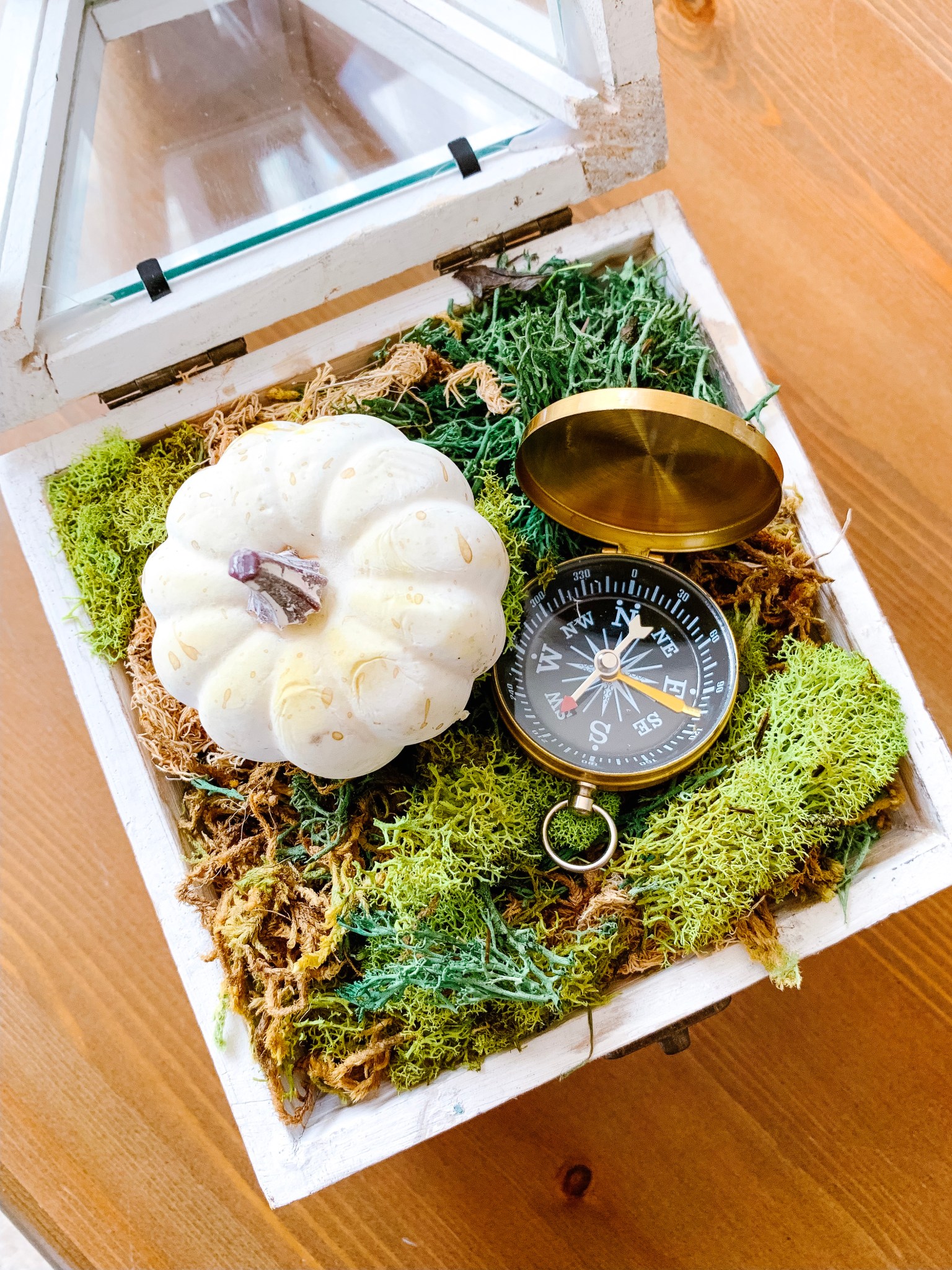 DIY FALL TERRARIUM CENTREPIECES